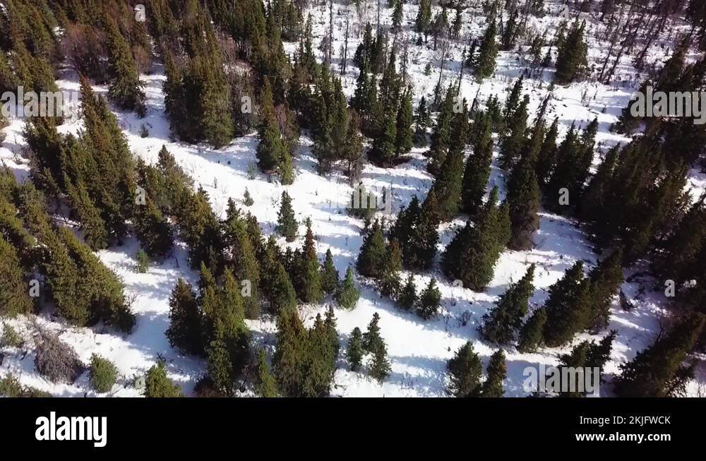 North of haines junction Stock Videos & Footage - HD and 4K Video Clips ...