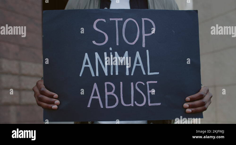 American civil rights poster Stock Videos & Footage - HD and 4K Video ...