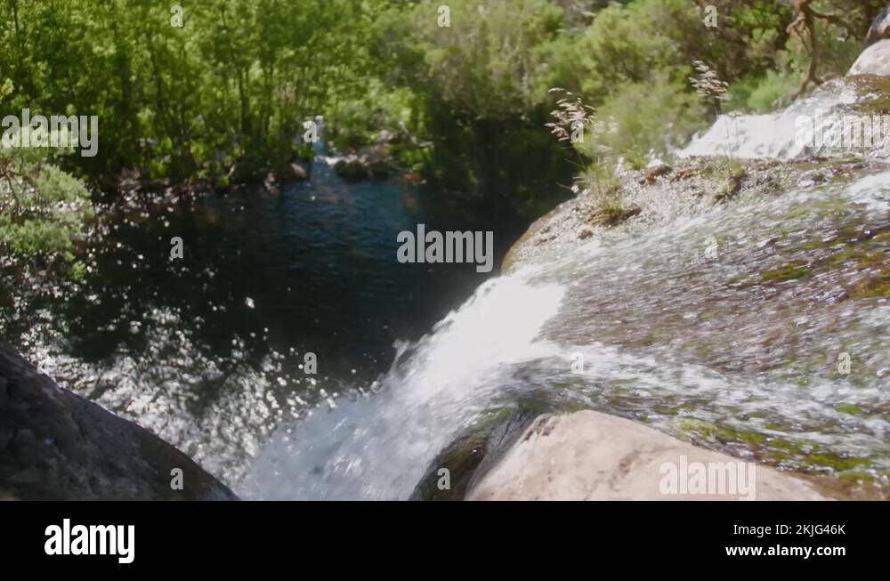 Falling trees with a waterfall in a forest Stock Videos & Footage - HD ...