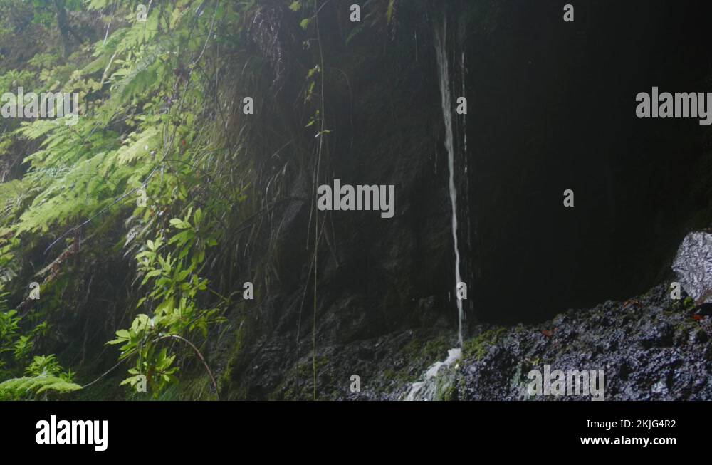 Falling down a hill Stock Videos & Footage - HD and 4K Video Clips - Alamy