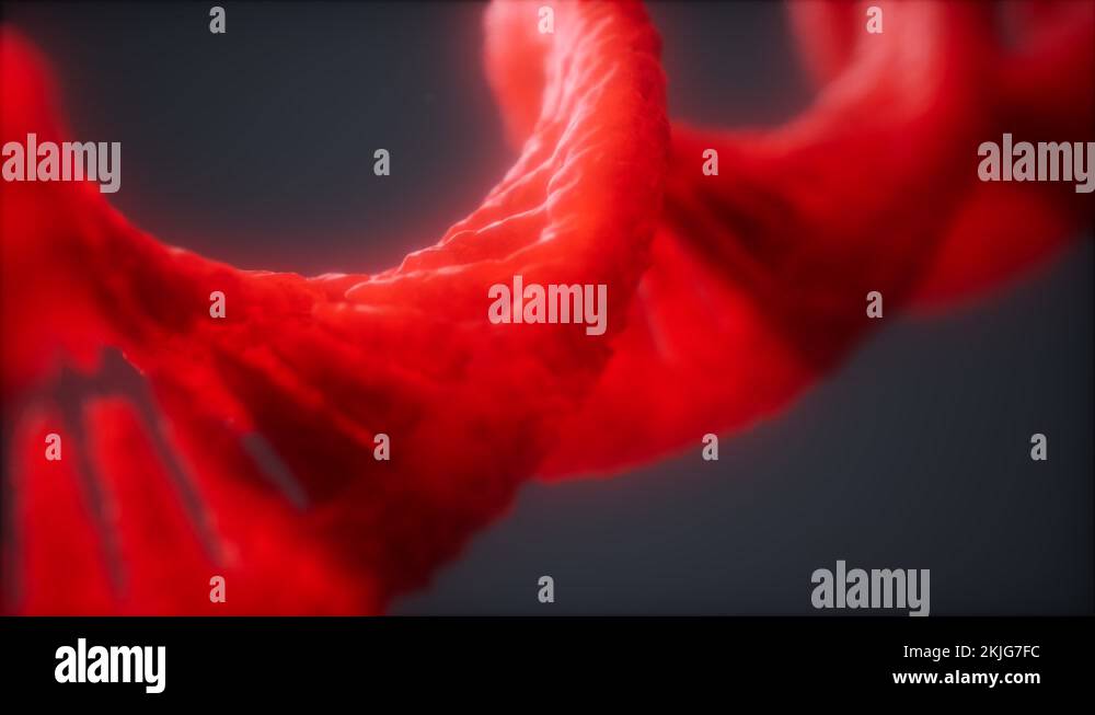 loopable structure of the DNA double helix animation Stock Video ...