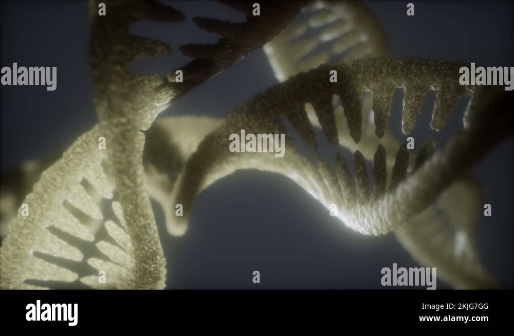 loop double helical structure of dna strand close-up animation Stock ...