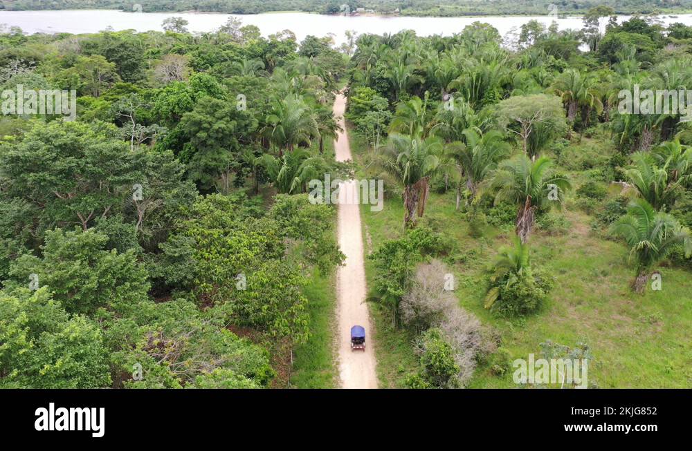 Palm trees peru Stock Videos & Footage - HD and 4K Video Clips - Alamy