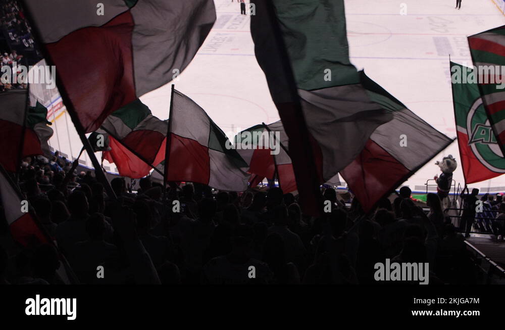 Fan fans logo Stock Videos & Footage - HD and 4K Video Clips - Alamy