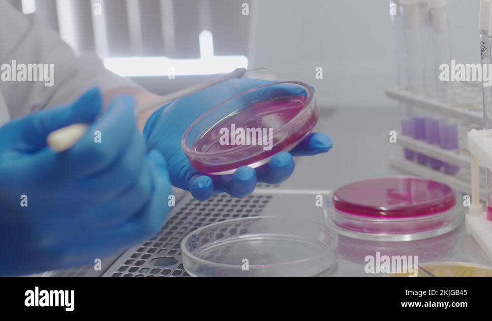 Bacteria needle Stock Videos & Footage - HD and 4K Video Clips - Alamy