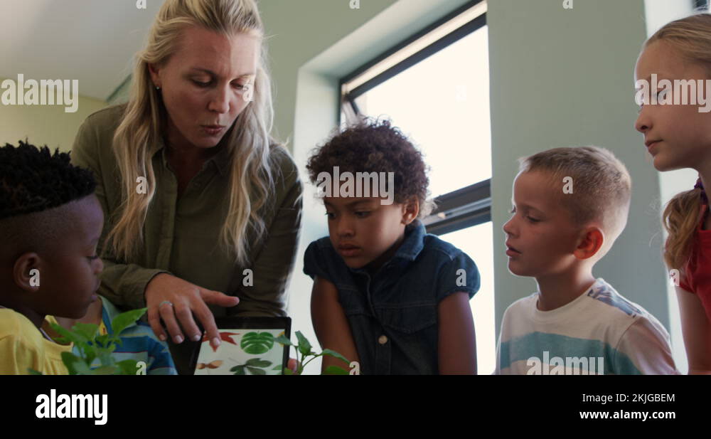Female teacher teaching about plants in class Stock Video Footage - Alamy