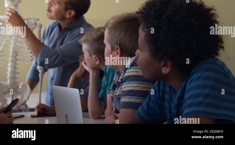 Male teacher with human skeleton model teaching in the class Stock ...