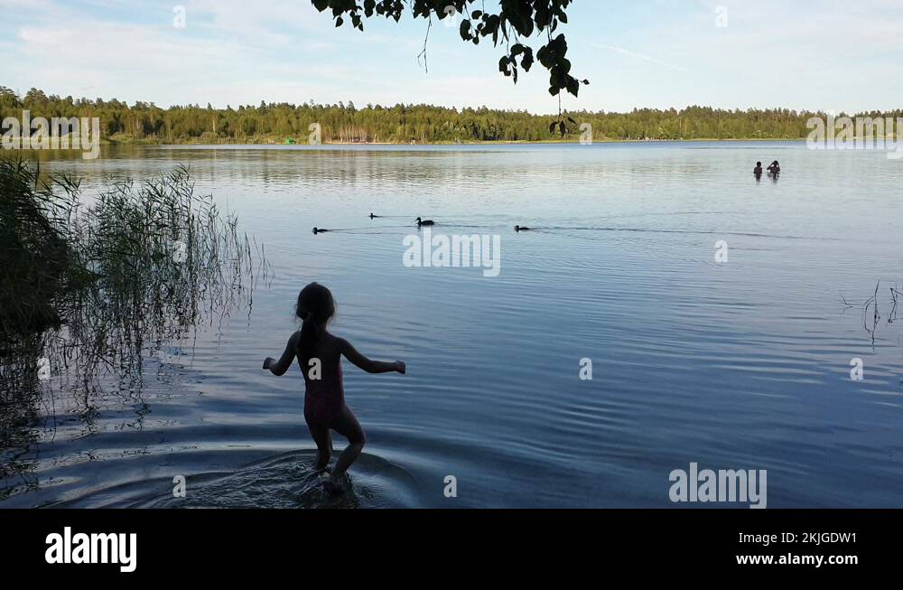 summer vacation on a forest lake, a little girl bathing in the lake ...