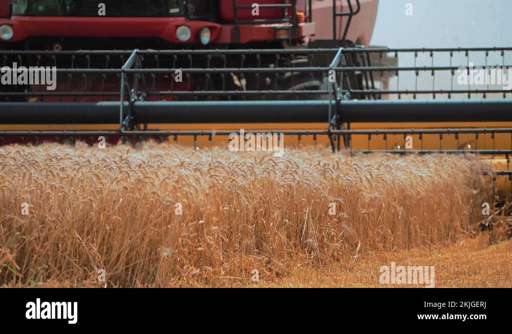 Mower mechanism Stock Videos & Footage - HD and 4K Video Clips - Alamy