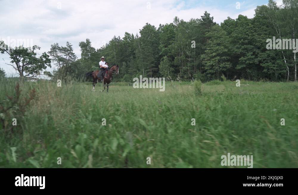 Horse at a gallop Stock Videos & Footage - HD and 4K Video Clips - Alamy