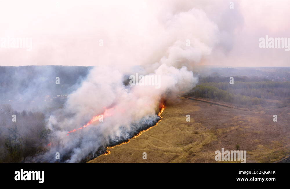 Ukraine forest fire Stock Videos & Footage - HD and 4K Video Clips - Alamy