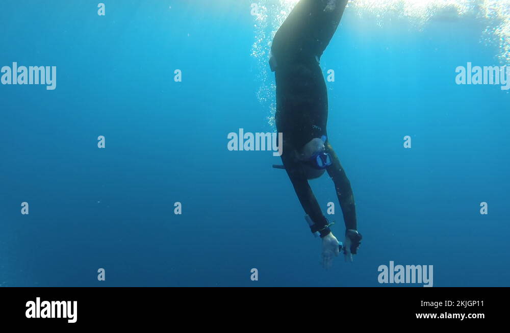 Diving photographer Stock Videos & Footage - HD and 4K Video Clips - Alamy