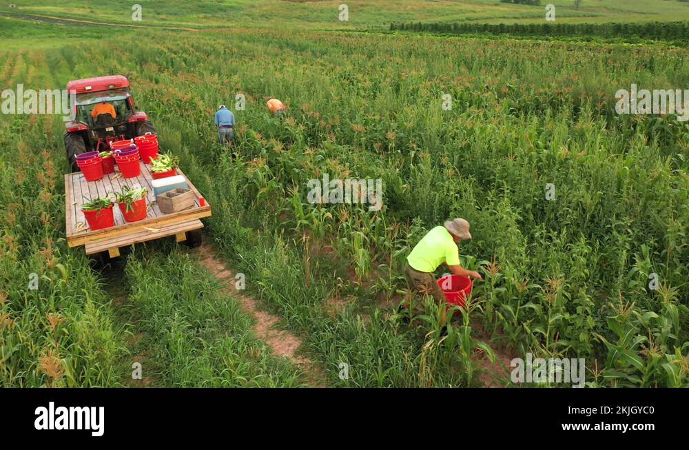 Flatbed truck tractor trailer flatbed Stock Videos & Footage - HD and ...