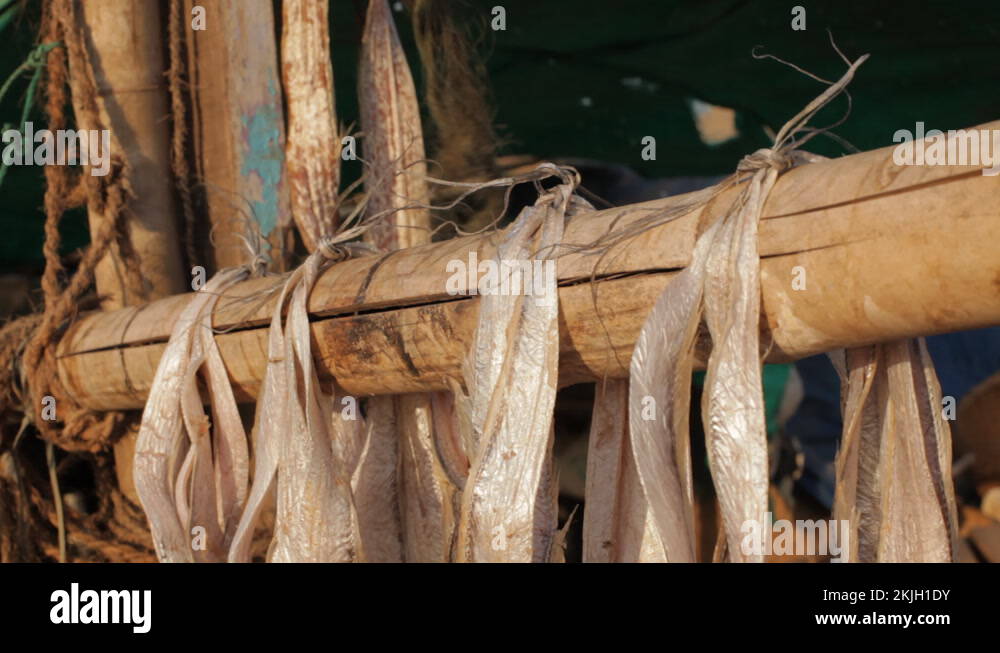 Traditional fishery processing Stock Videos & Footage - HD and 4K Video ...