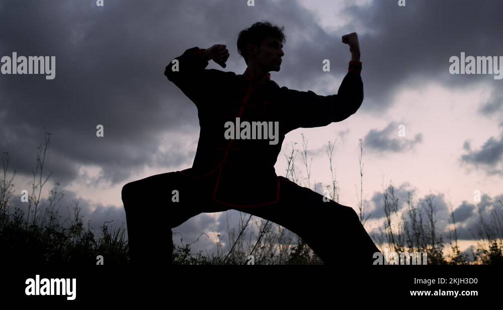 Kung fu sunset Stock Videos & Footage - HD and 4K Video Clips - Alamy