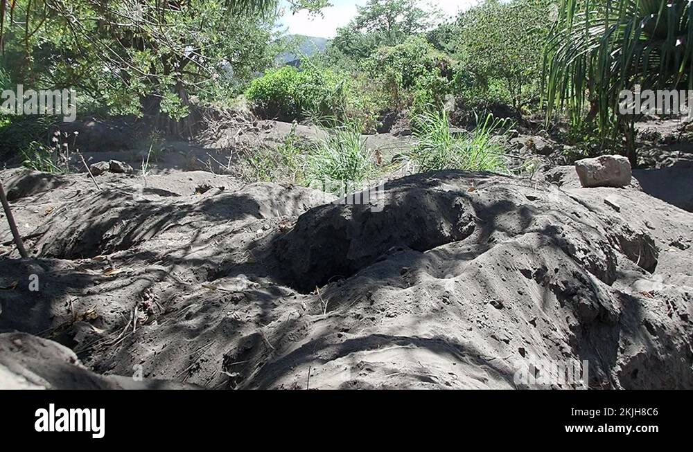 Megapode egg nest in Rabaul , next to the Active volcano Papua New ...