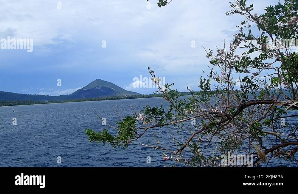 Papua New Guinea View to Rabaul Volcano with flower tree in front Stock ...
