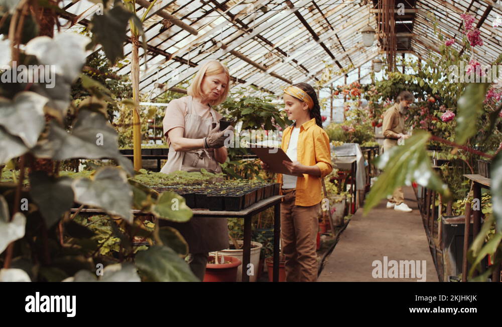 Little Girl Learning Farming and Helping Grandma in Greenhouse Stock ...