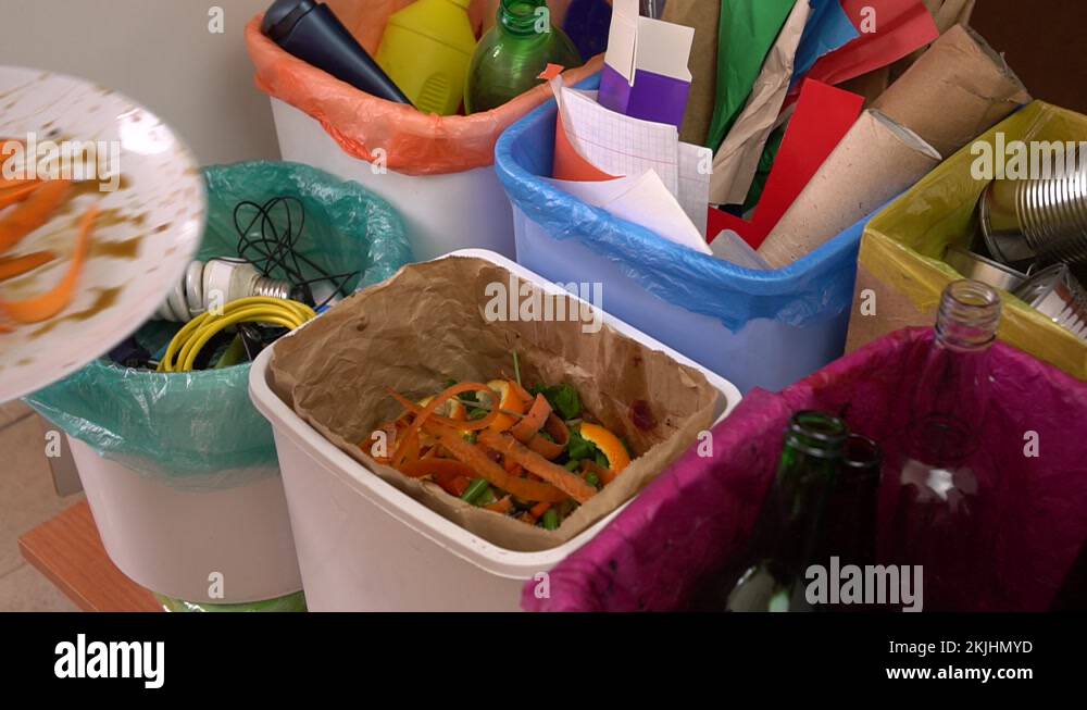 Plastic, paper, cartons, glass packaging, metal, organic, e-waste ...