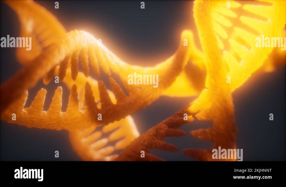 loop double helical structure of dna strand close-up animation Stock ...