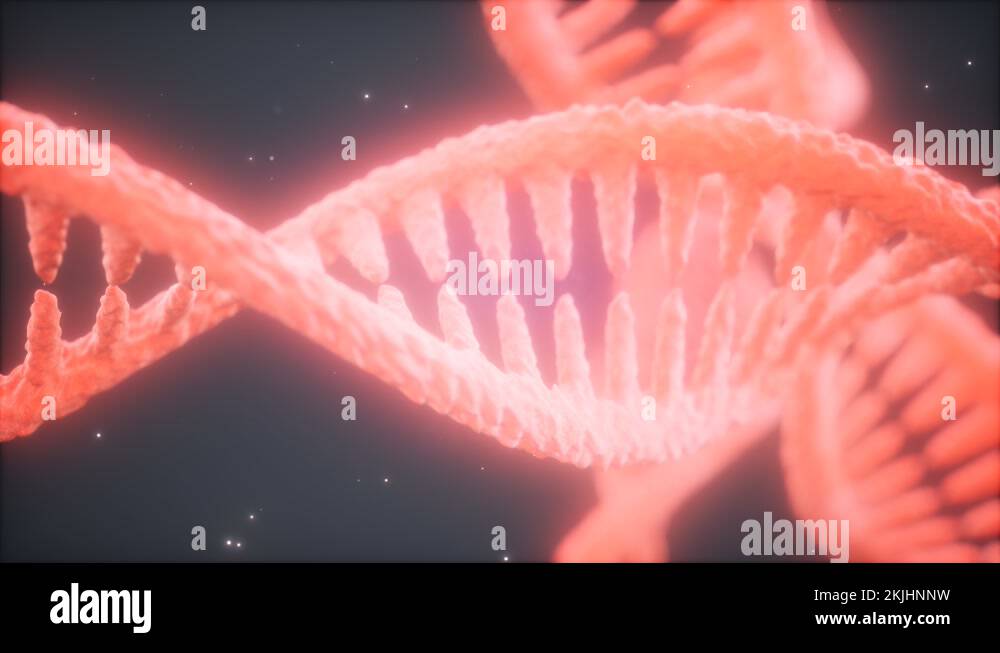 double helical structure of dna strand close-up animation Stock Video ...
