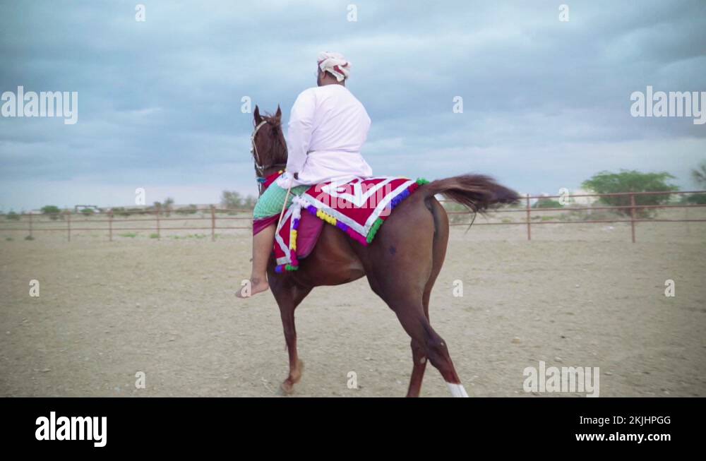 Arabian horse sand Stock Videos & Footage - HD and 4K Video Clips - Alamy