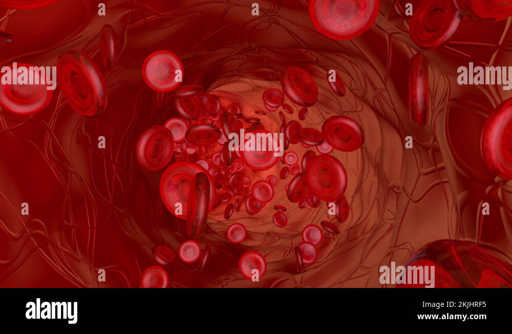 Hemoglobin cells blood Stock Videos & Footage - HD and 4K Video Clips ...