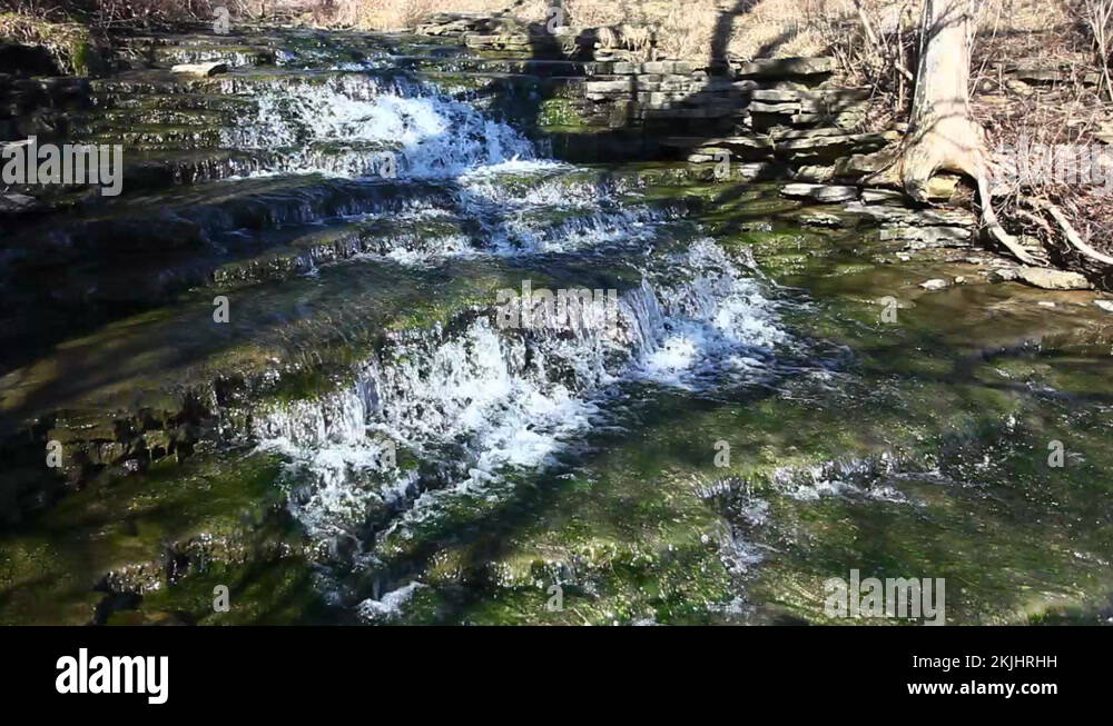 Blue billy Stock Videos & Footage - HD and 4K Video Clips - Alamy