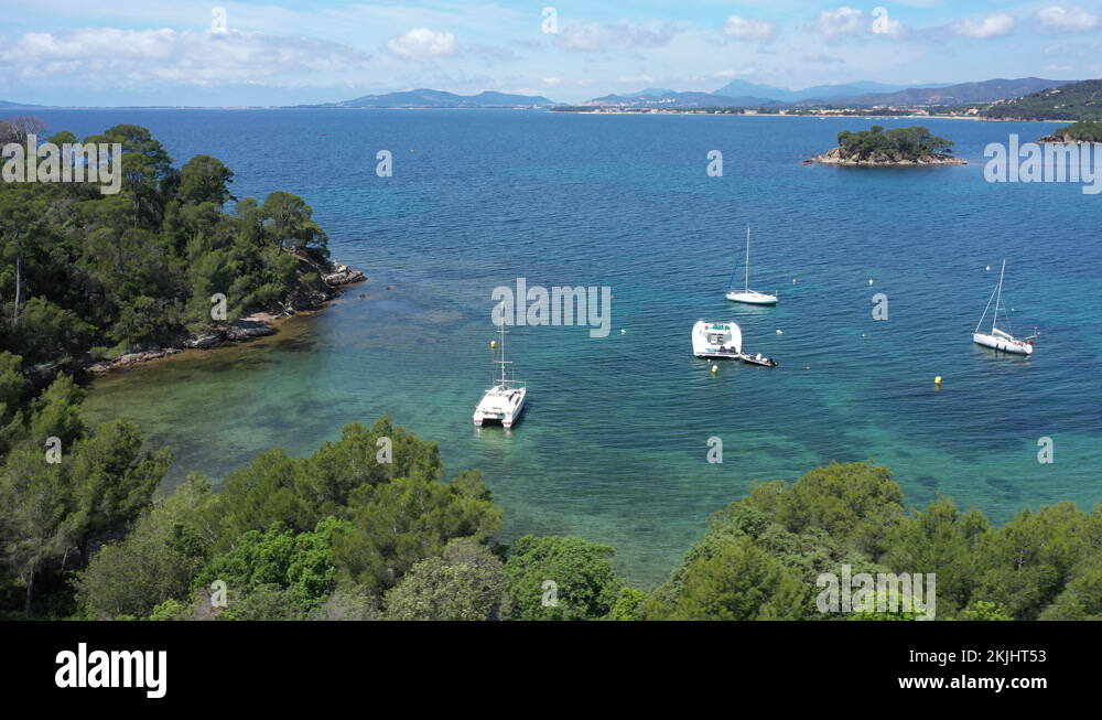 Les mimosas Stock Videos & Footage - HD and 4K Video Clips - Alamy