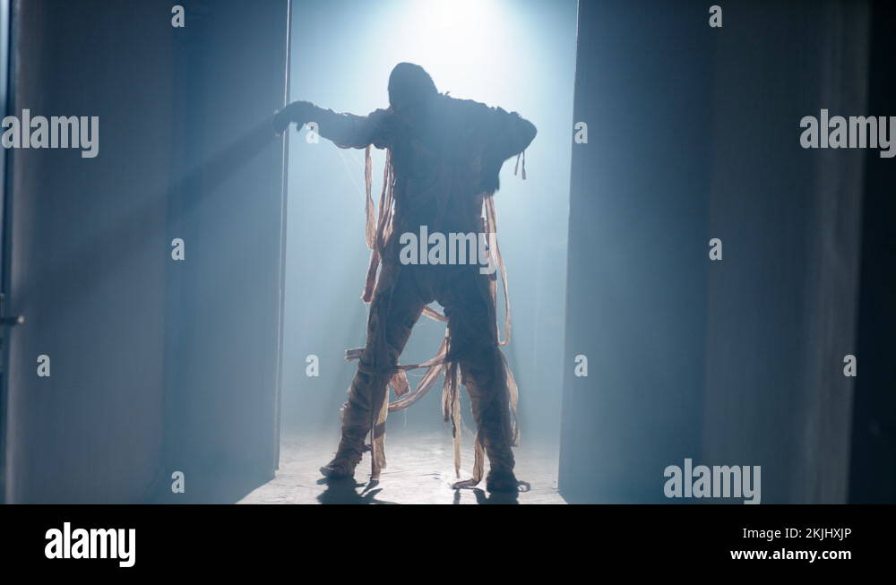 Scary ancient mummy in bandages in haunted house. Guy in thematic ...