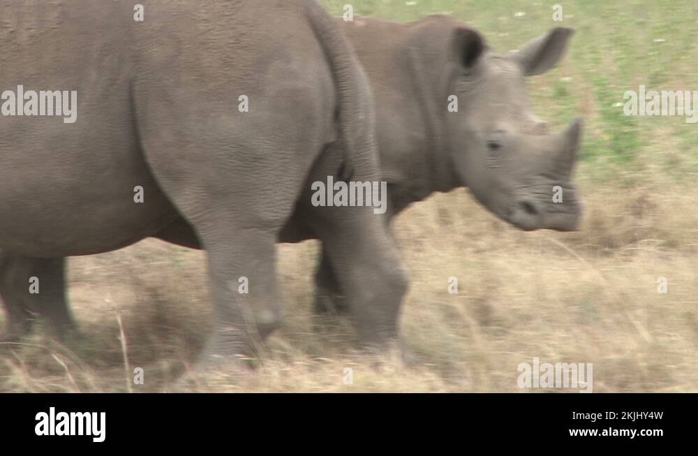 Opposite facing Stock Videos & Footage - HD and 4K Video Clips - Alamy