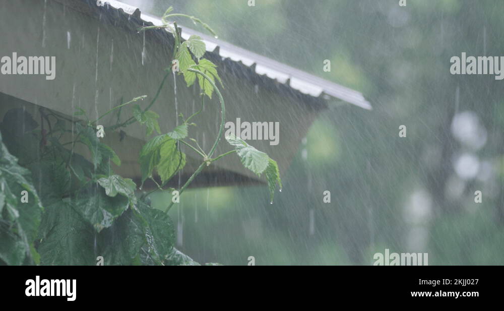 Storm rain falls on roof Stock Videos & Footage - HD and 4K Video Clips ...
