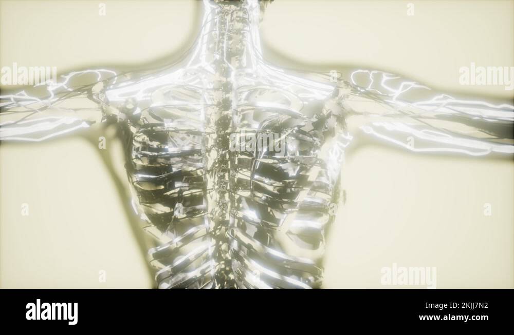 inspection of blood in the blood vessels of the circulatory system ...
