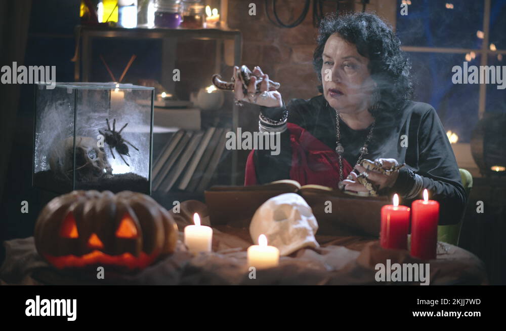 Snakes in the dark Stock Videos & Footage - HD and 4K Video Clips - Alamy