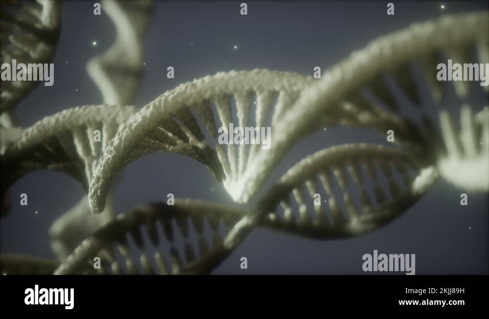 double helical structure of dna strand close-up animation Stock Video ...