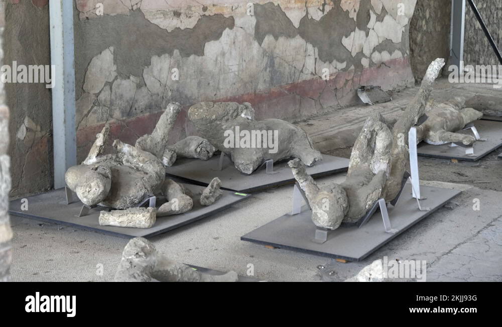 Plaster casts plaster Stock Videos & Footage - HD and 4K Video Clips ...