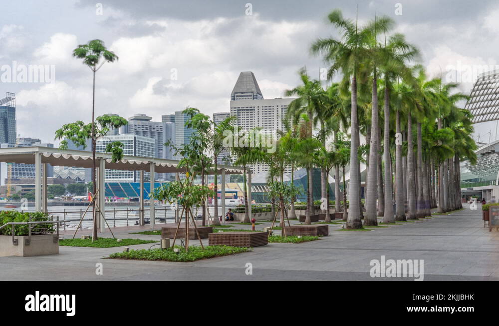 Walk way with palms beside at parks and outdoor of marina bay with ...