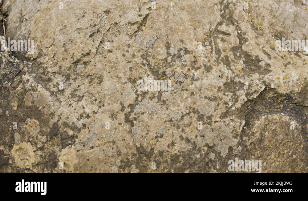 Light stone texture Stock Videos & Footage - HD and 4K Video Clips - Alamy