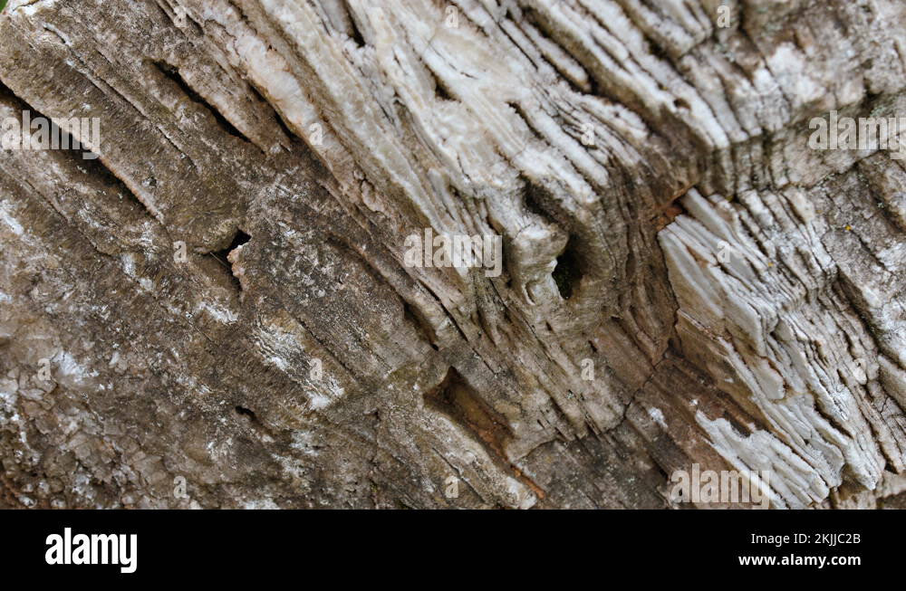 Layered texture Stock Videos & Footage - HD and 4K Video Clips - Alamy