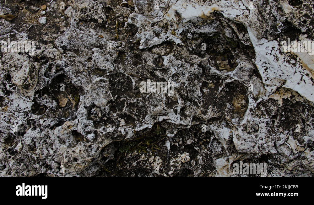 Raw rock texture Stock Videos & Footage - HD and 4K Video Clips - Alamy