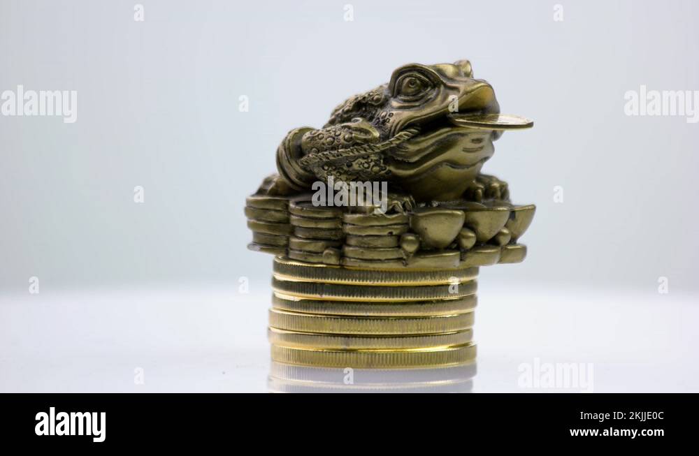 Good luck frog Stock Videos & Footage - HD and 4K Video Clips - Alamy
