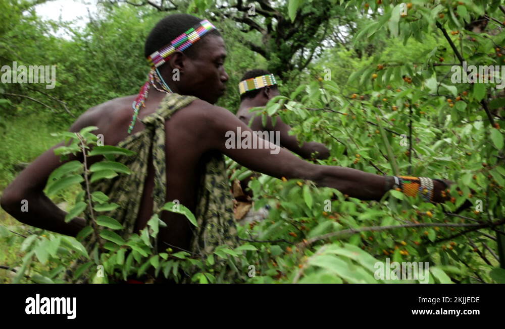 Hunters eating Stock Videos & Footage - HD and 4K Video Clips - Alamy