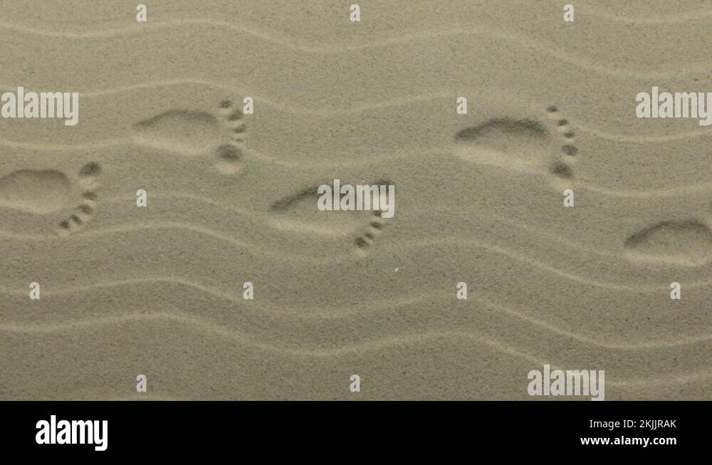 Crane human Stock Videos & Footage - HD and 4K Video Clips - Alamy