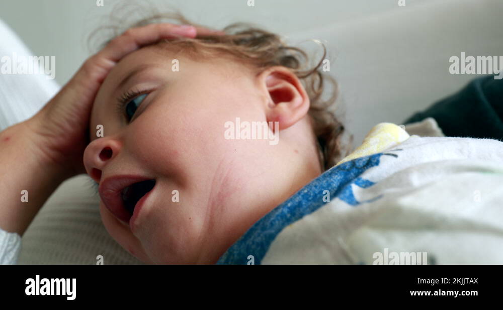 Small yawn yawning young Stock Videos & Footage - HD and 4K Video Clips ...