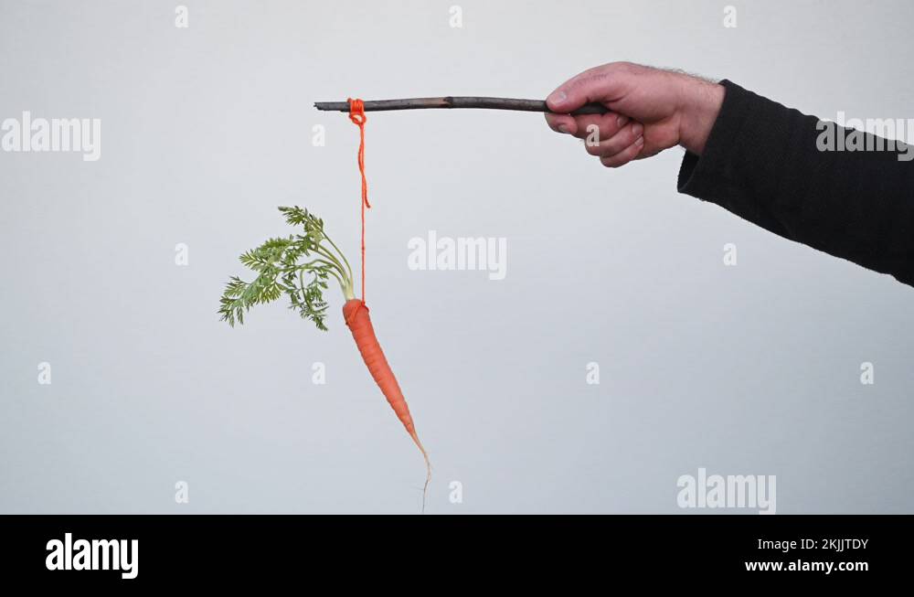 Reward system Stock Videos & Footage - HD and 4K Video Clips - Alamy