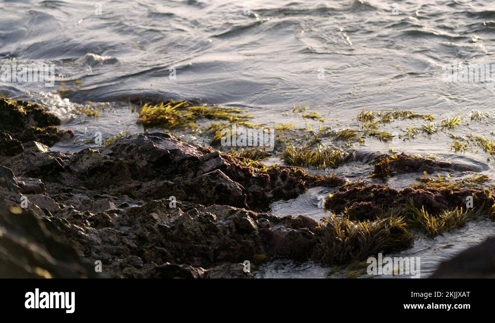 Ocean rock pools of australia Stock Videos & Footage - HD and 4K Video ...