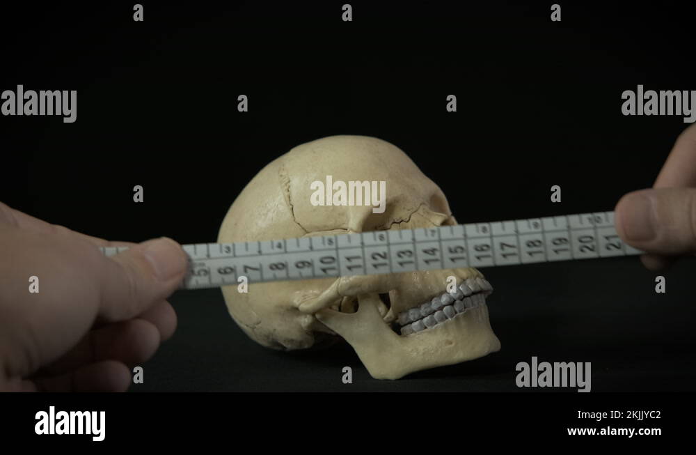 Measuring a human skull Stock Video Footage - Alamy
