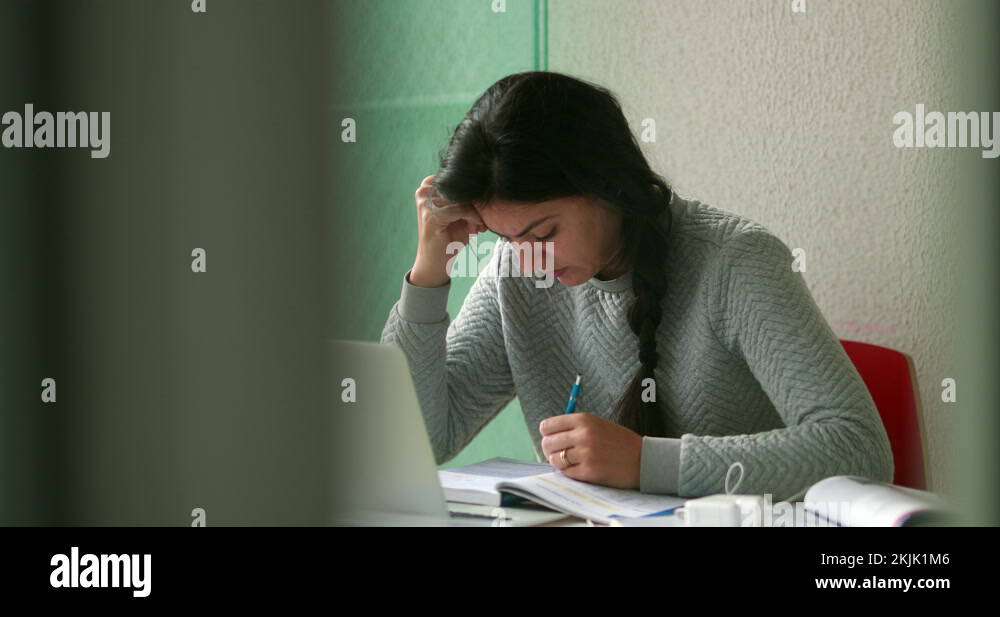 Concentrated studying Stock Videos & Footage - HD and 4K Video Clips ...