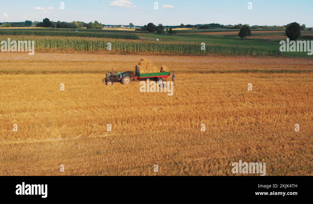 Straw packing Stock Videos & Footage - HD and 4K Video Clips - Alamy