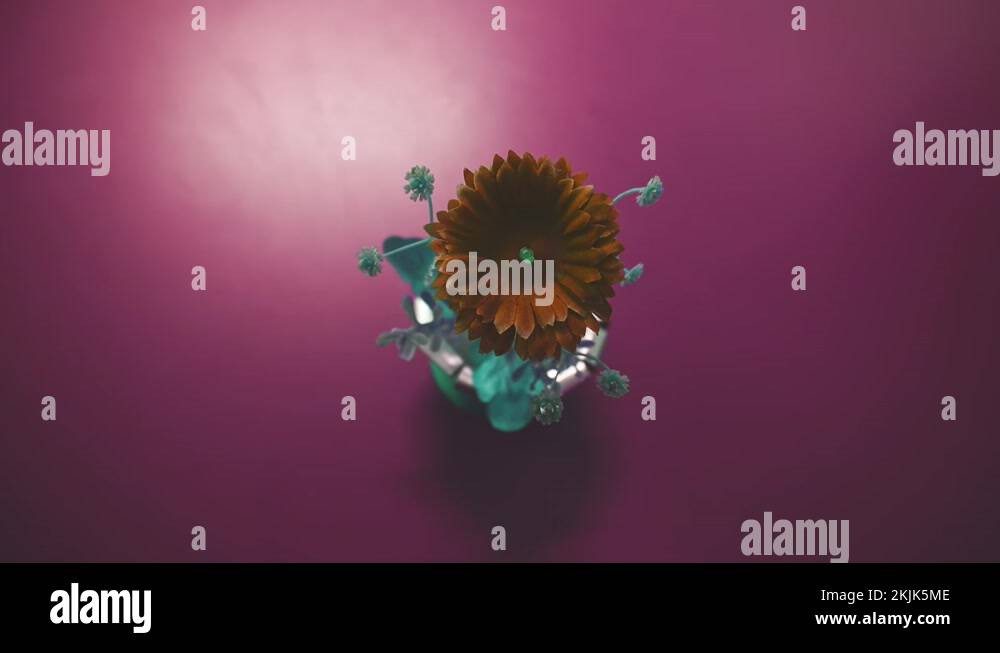 Fake colors Stock Videos & Footage - HD and 4K Video Clips - Alamy